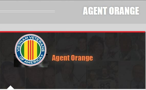 Orange Heart Medal Foundation - Donate