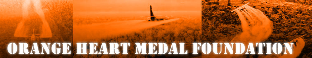 Orange Heart Medal Foundation